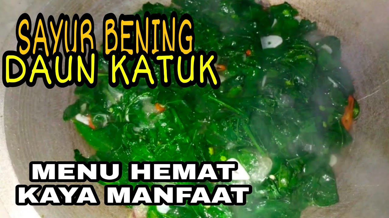Resep Sayur Bening Daun Katuk Simple Enak dan Kaya Manfaat - YouTube