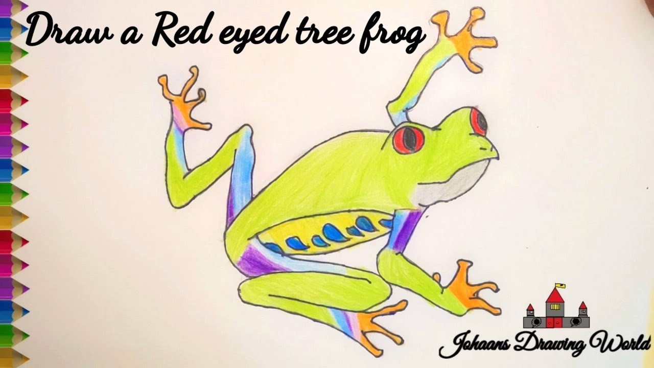 DRAW A RED EYED TREE FROG - YouTube