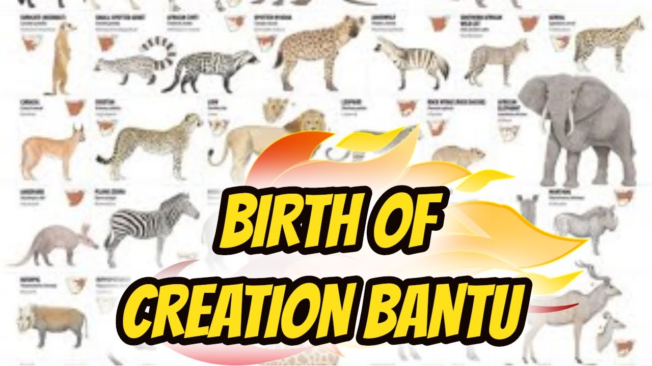 BIRTH OF CREATION BANTU || SPREADING OF THE ANIMALS IN THE BIBLE - YouTube