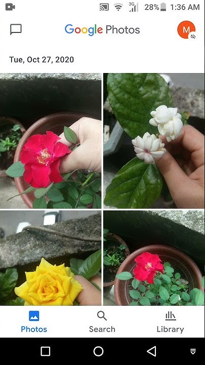 how to use Google lens in android - YouTube