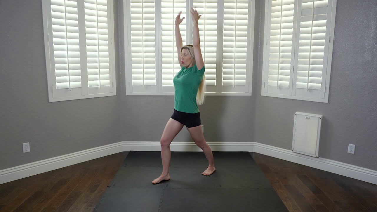 Pelvis & T-Spine Mobilization for Optimal Gait with Dr Emily Splichal ...