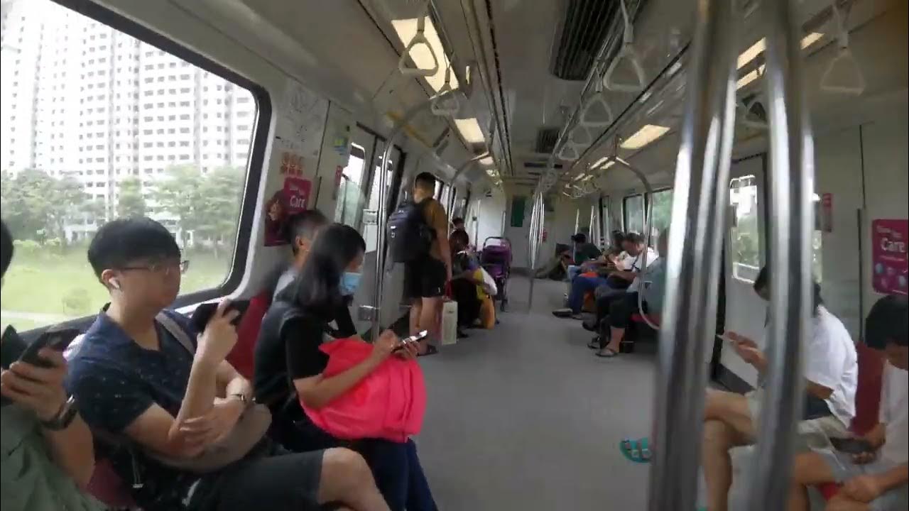 C151A 535/536 Ride From Kranji To Yew Tee [Between Sungei Kadut MRT] - YouTube