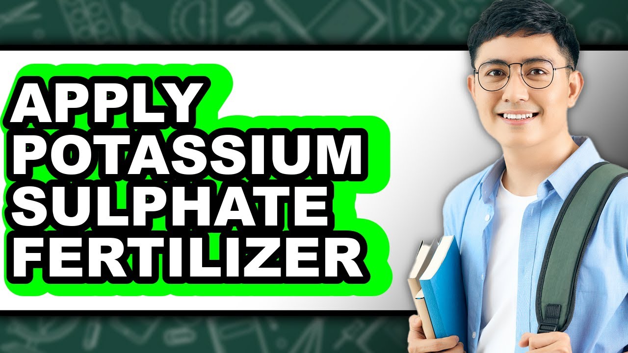 How to Apply Potassium Sulphate Fertilizer (only Way) - YouTube