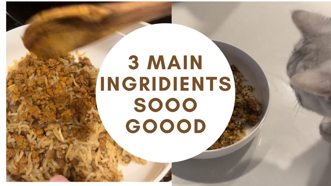 Yummy rice 🍚 lentils grind meat 🍖 - YouTube