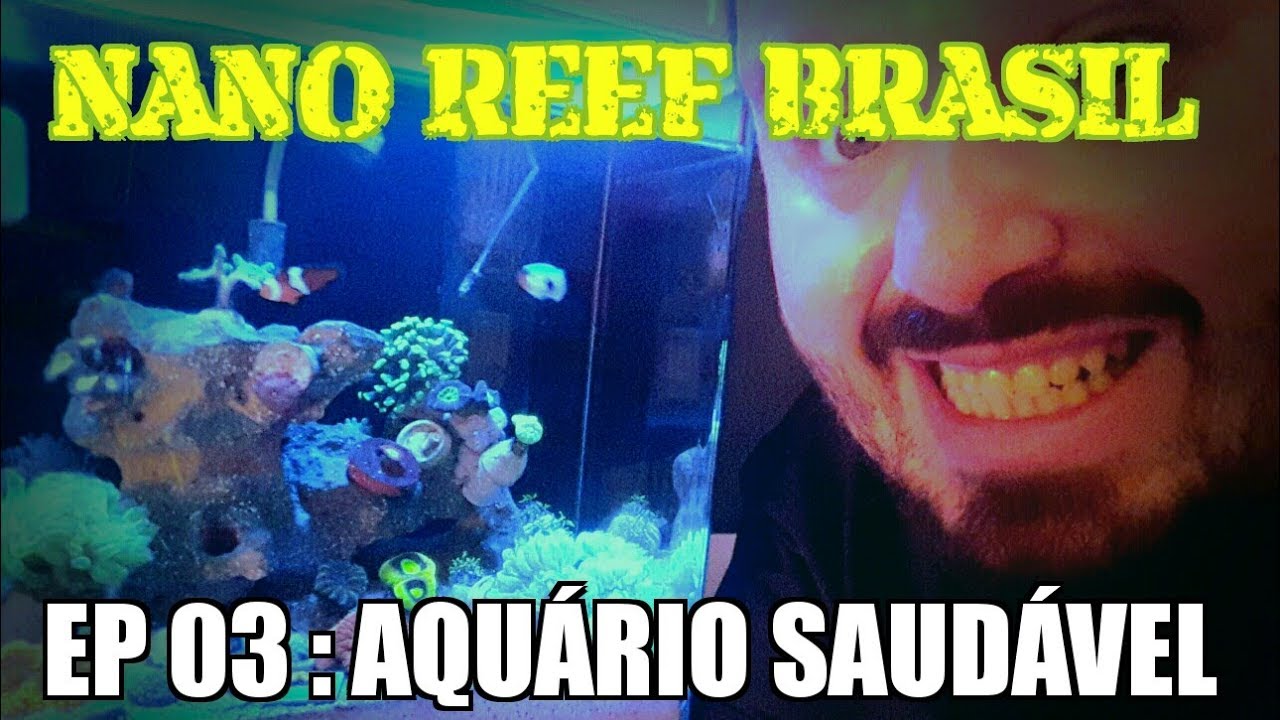 Nano ReeF Brasil - Ep 03 - Aquário Marinho Saudável - YouTube
