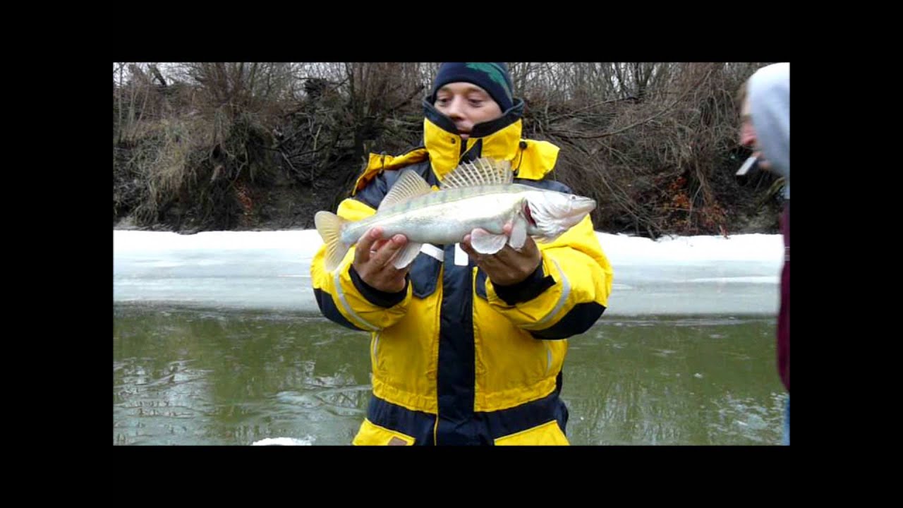 odc. 2 - Ostatni lód, sandacz z lodu na bałałajkę HD wędkarstwo ...