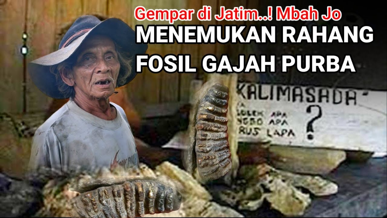 Gempar di jatim..! Mbah Jo menemukan fosil rahang gajah purba - YouTube