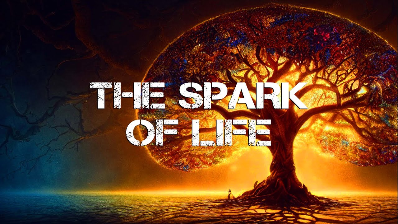 The Spark Of Life | Dr. Christiane Northrup - YouTube