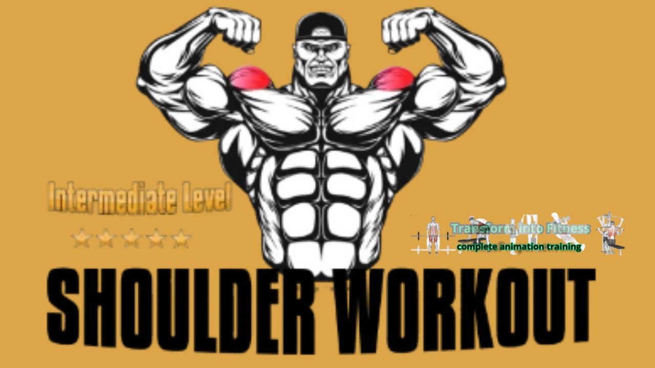 Shoulder Training - Intermediate Level: Develop Strength and Definition ...