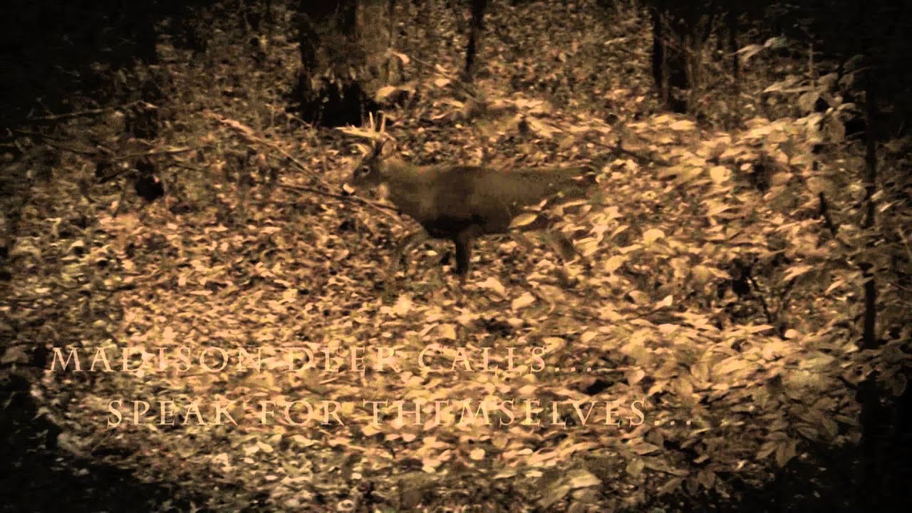 Madison Deer Calls Promo - YouTube