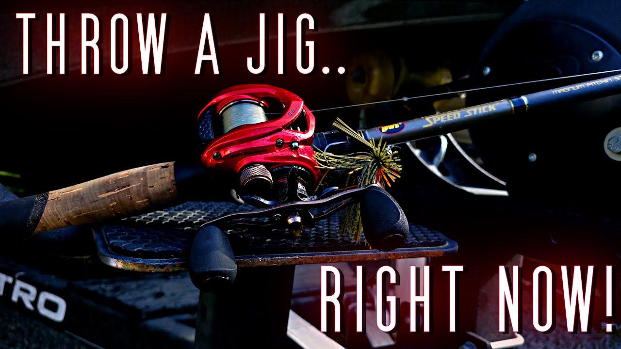 Fall Jig Fishing For Bass -- When, Where, and Why you Should! - YouTube
