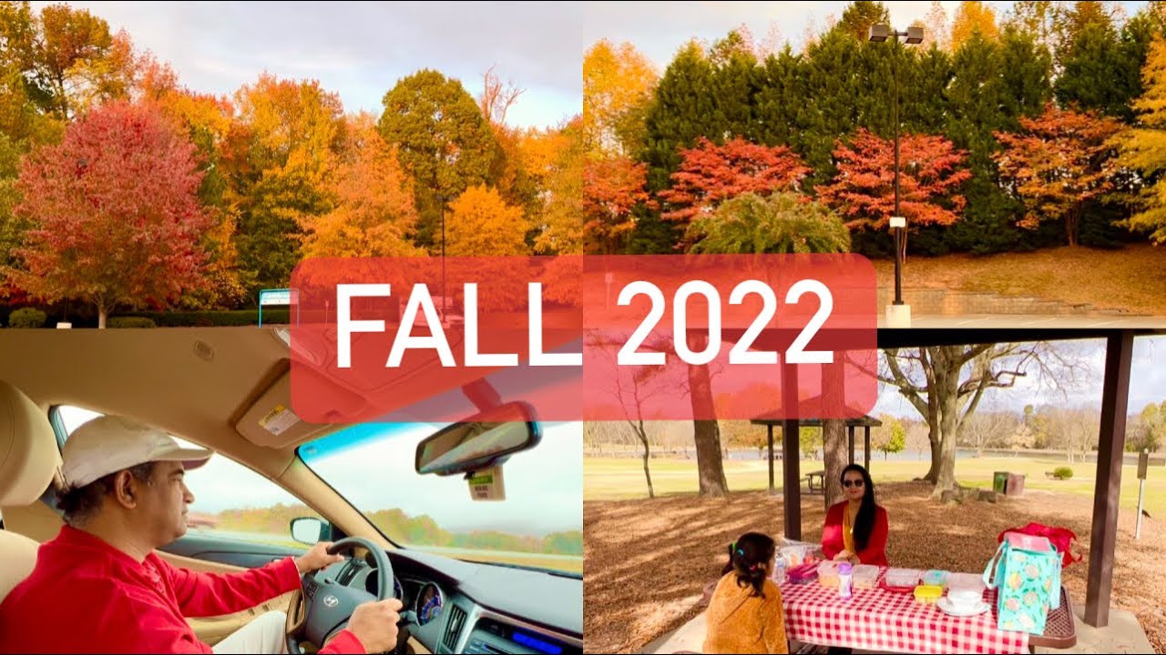 Fall 2022 | Fall Picnic | Fall Foliage | Autumn Fun | Fall Garden ...