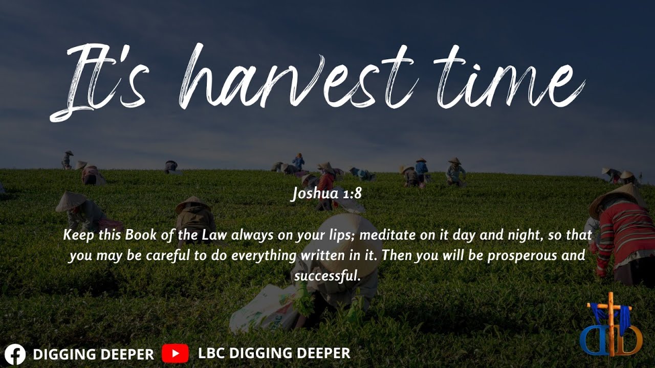 Dr. Sipho Zondi // It's harvest time | Joshua 1:8 - YouTube