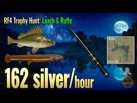 🐟 Russian Fishing 4 | Best Loach & Ruffe Spot at Mosquito Lake [Full Guide]