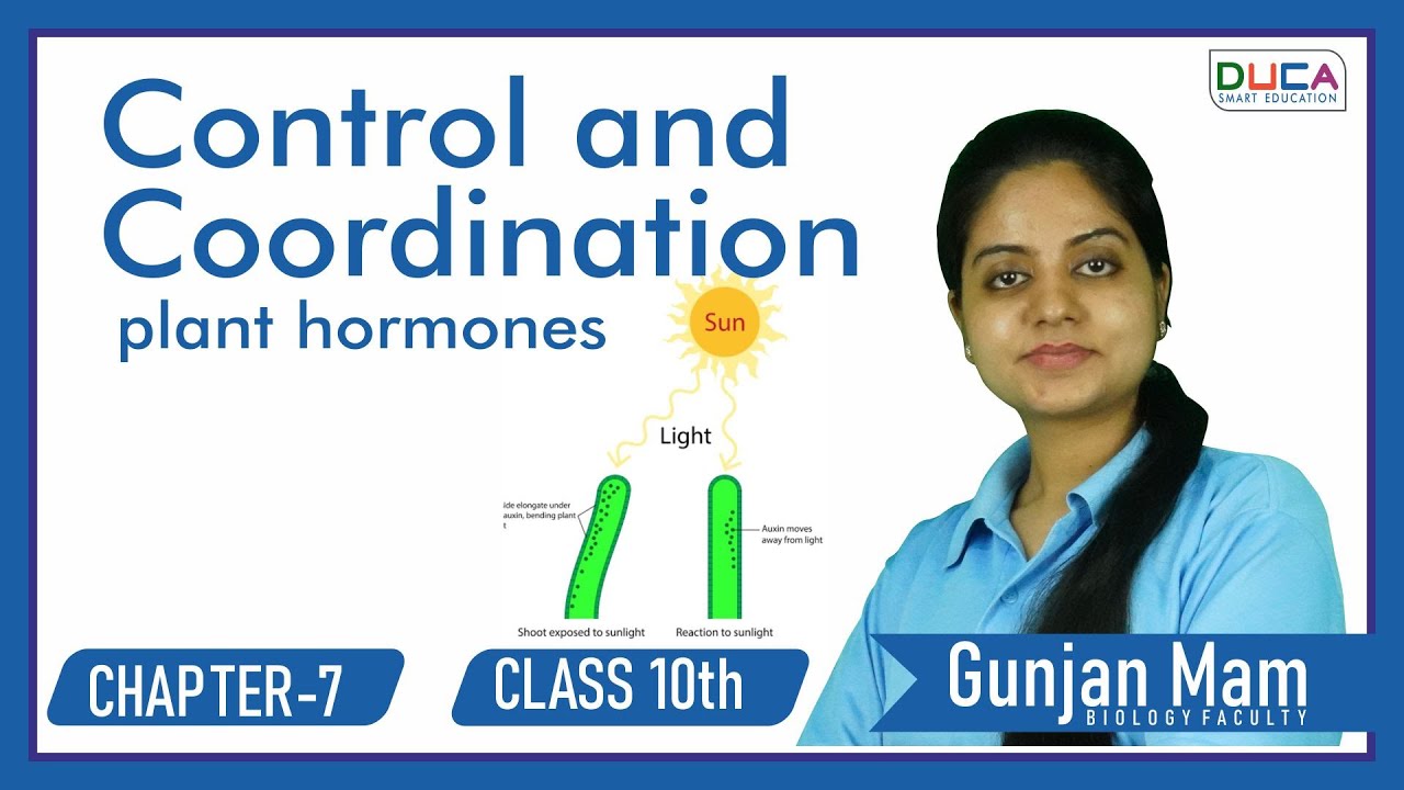Control and Coordination || plant hormones || Claas-10th || chapter-7 ...
