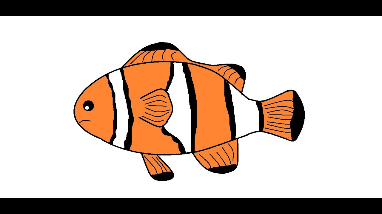 how to draw clown fish by using MS Paint.Computer drawing.Fish - YouTube