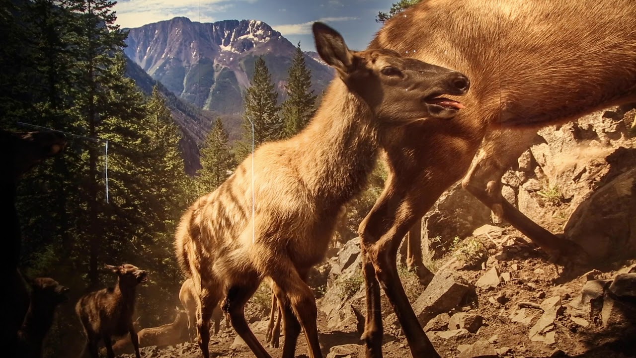 Joe Riis Speaks at NHMU - YouTube