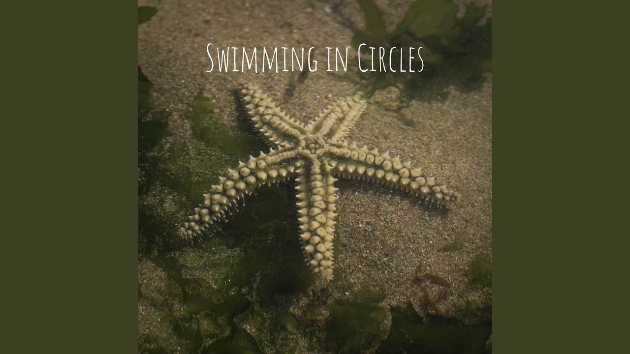 Sentido Inverso - YouTube