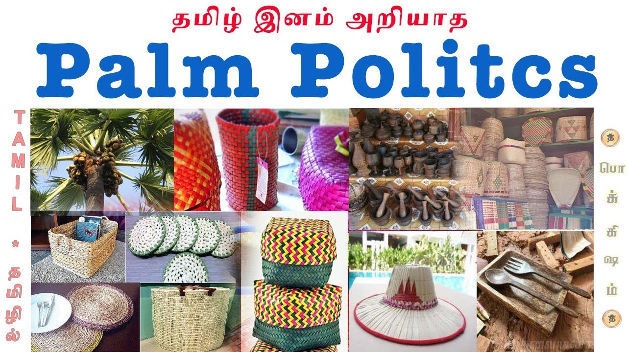 Palm Tree Politics | தமிழ் இனம் மறந்த பனை மரம் | Vicky | Pokkisham | TP ...