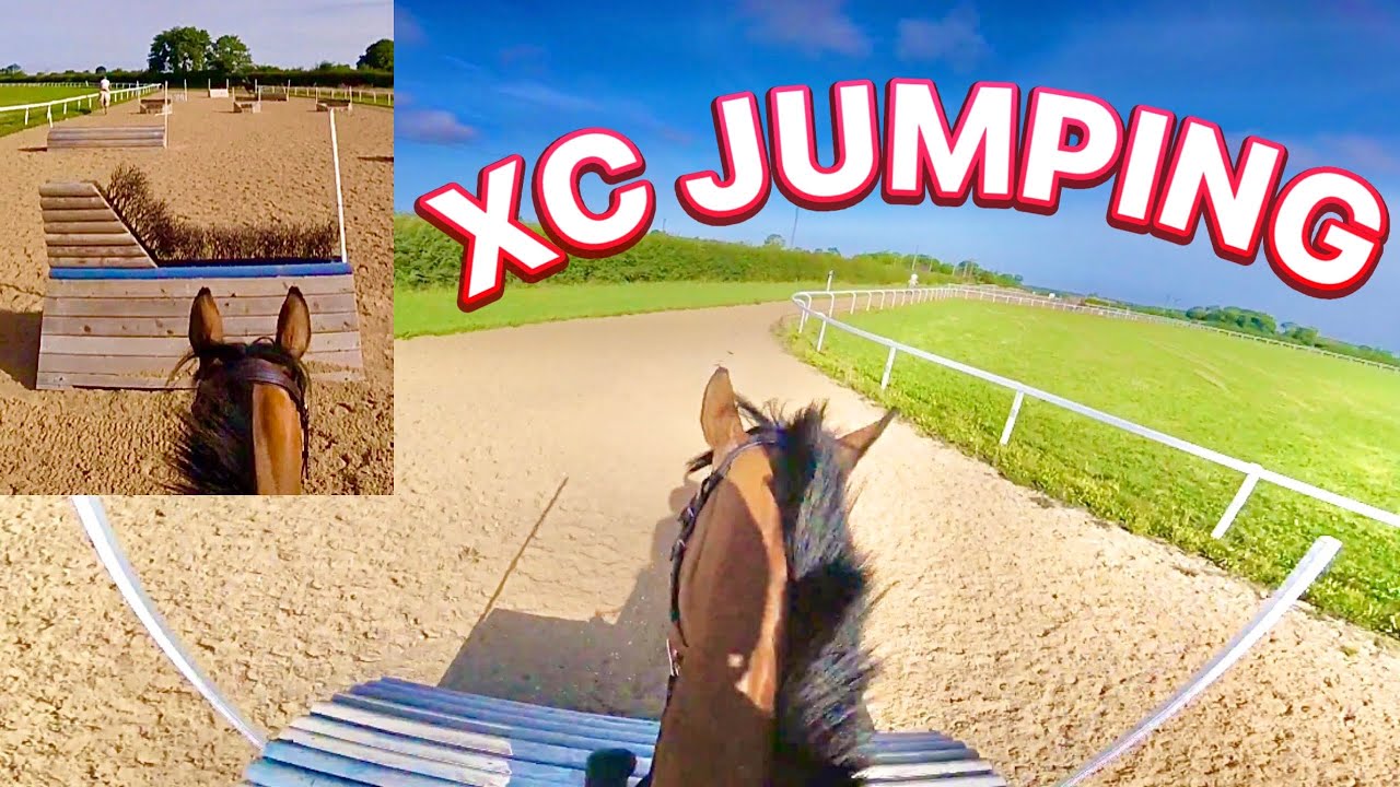 FIELD FARM CROSS COUNTRY | TOM ON HORSE - YouTube