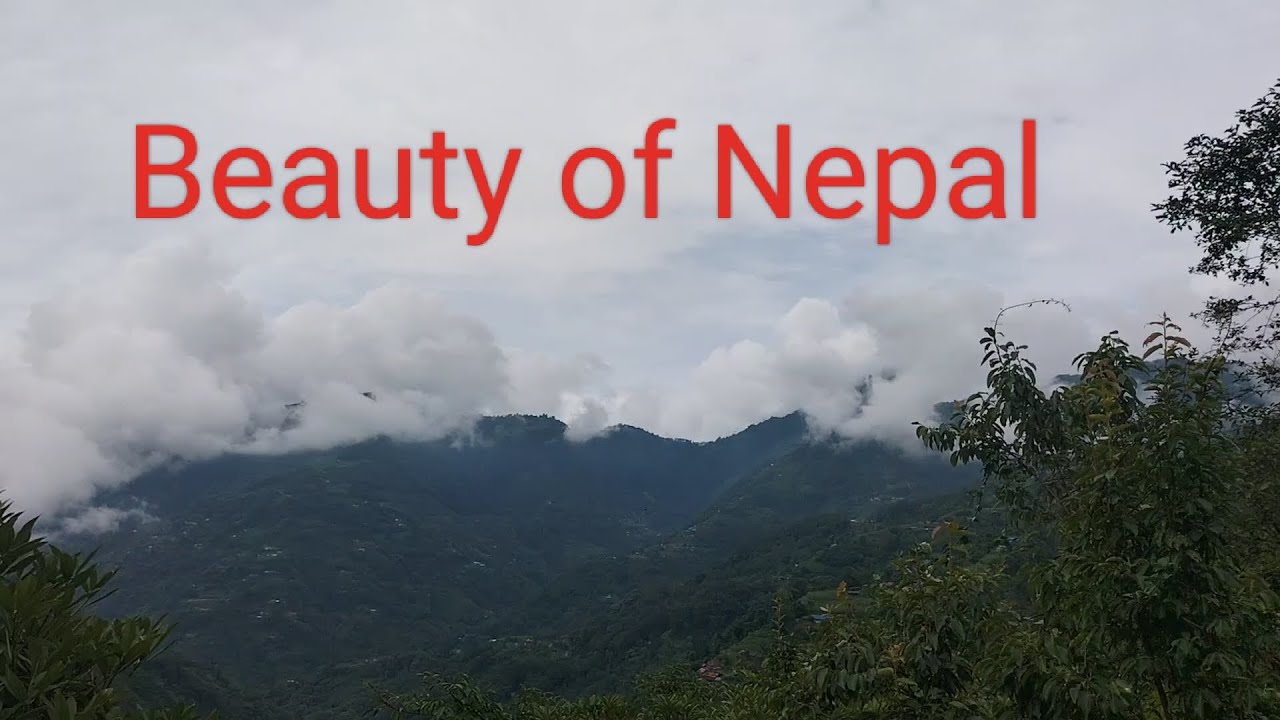 Nature of Nepal (ilam) Beauty of nature in Nepal - YouTube