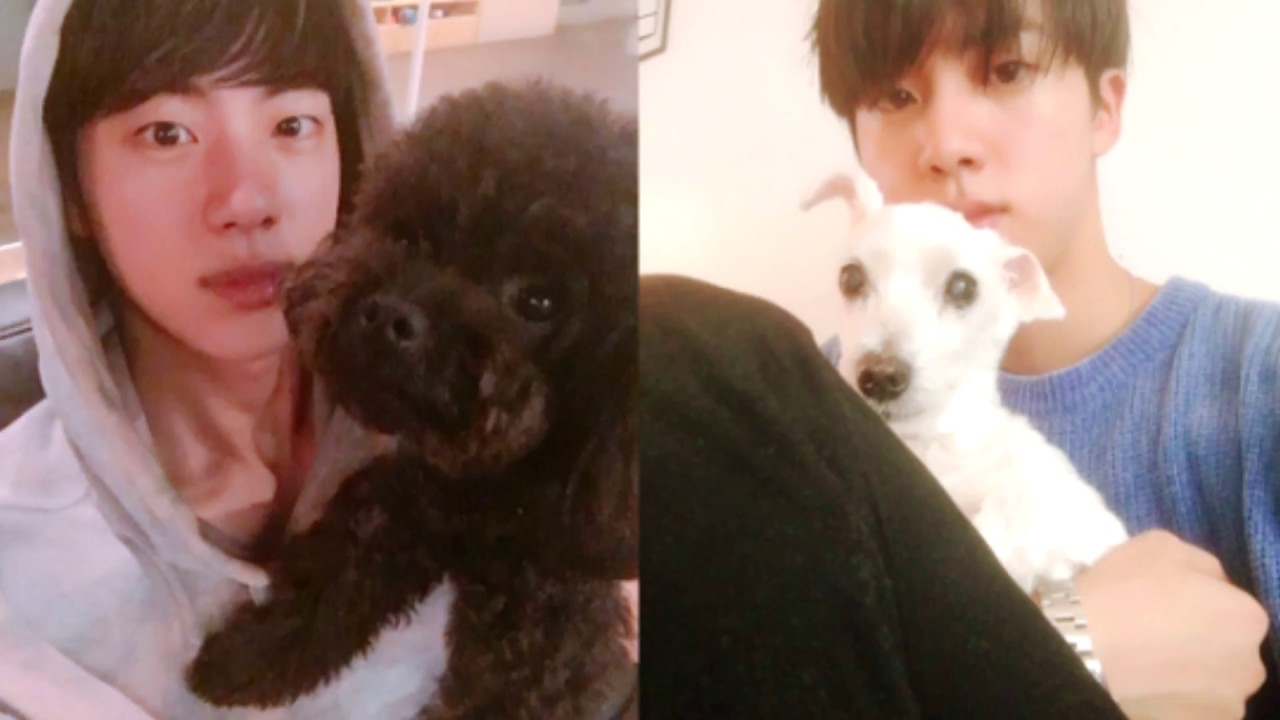 BTS with dogs Compilation [updated] - YouTube