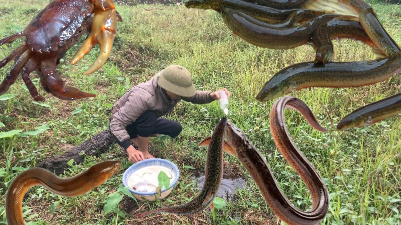 Catching fish in a super weird way and the result - YouTube