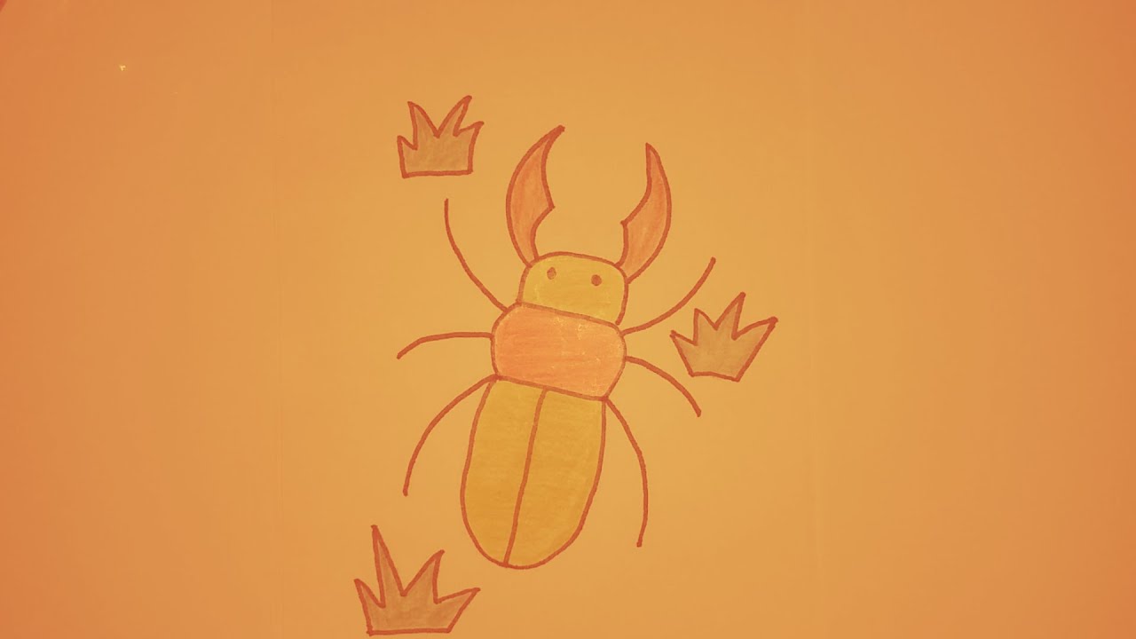 Draw and coloring a beetle / How to draw a beetle easy - YouTube