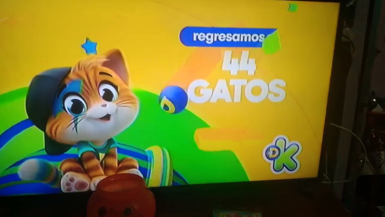 regresamos con 44 gatos - YouTube