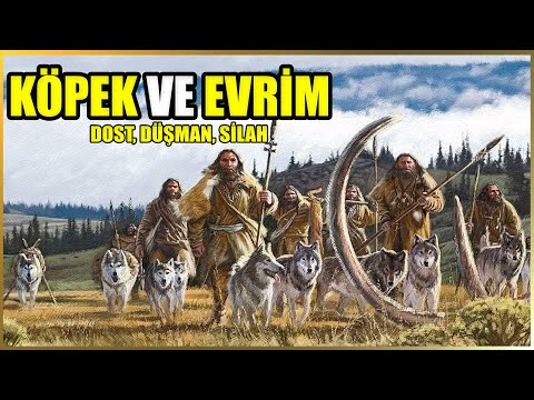 Köpek ve İnsan Evrimi Belgeseli | Bölüm 1
