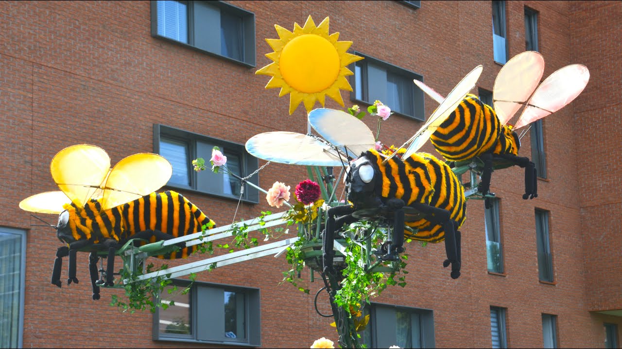 Bee Happy, Circus Theater Vladimir - YouTube