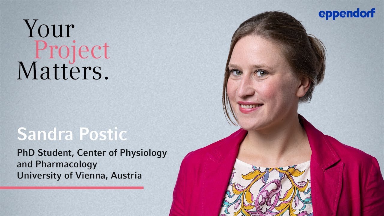 “Your Project Matters” Interview with Sandra Postic: The Influence of ...