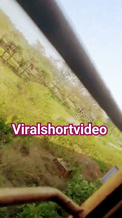 shorts ll trendingshort ll viralshorts funny 😆😆😆 - YouTube