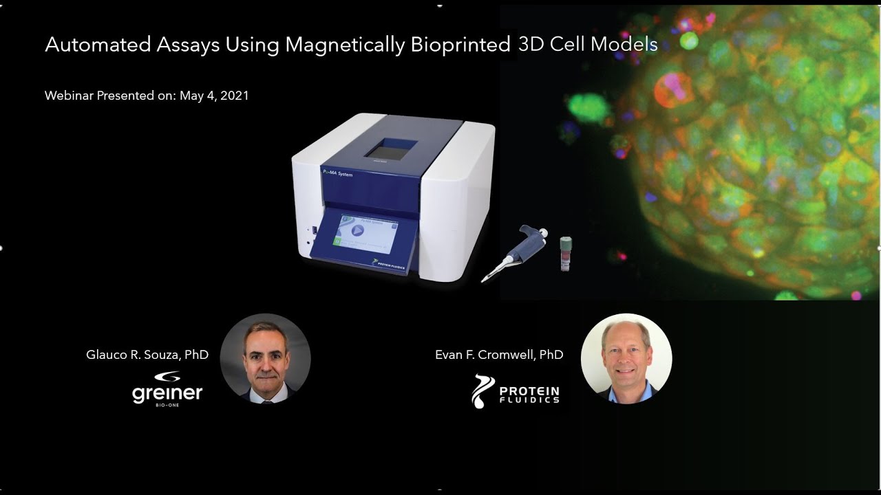 Automated Assays Using Magnetically Bioprinted 3D Cell Models - YouTube