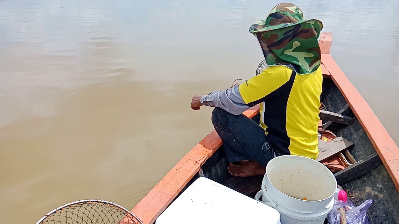 NYAGANG IKAN BUNTAL DI MPAYANG DEKAT KPG SUPA. - YouTube
