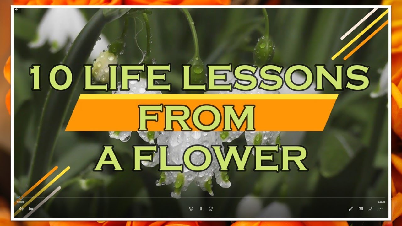 10 LIFE LESSONS FROM A FLOWER - YouTube