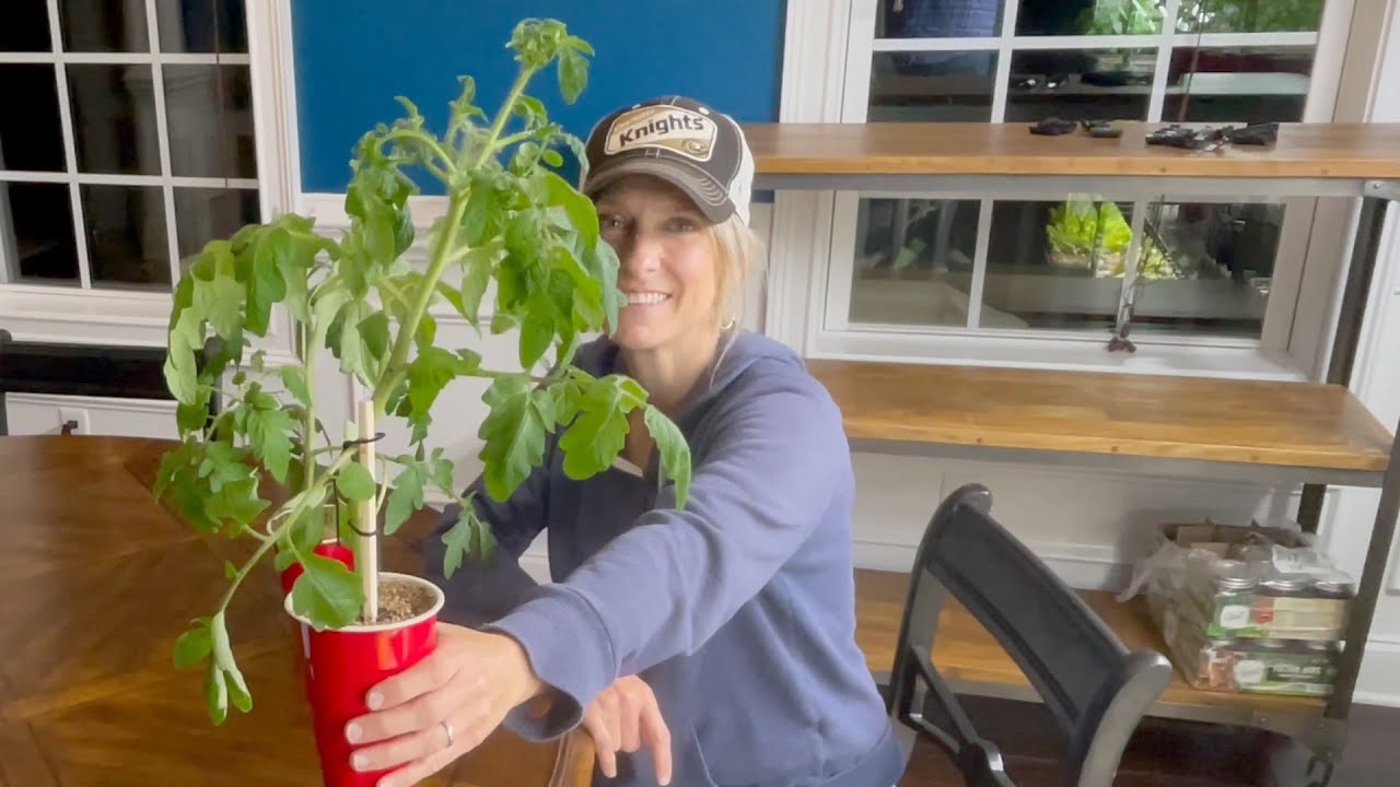 HUGE seedlings in 6 weeks and the MOST IMPORTANT thing to do this ...