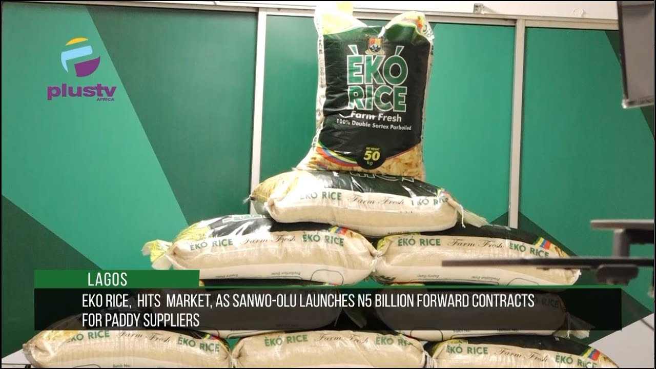 Eko Rice Hits Market As Sanwo-Olu Launches N5 Billion Forward Contracts ...