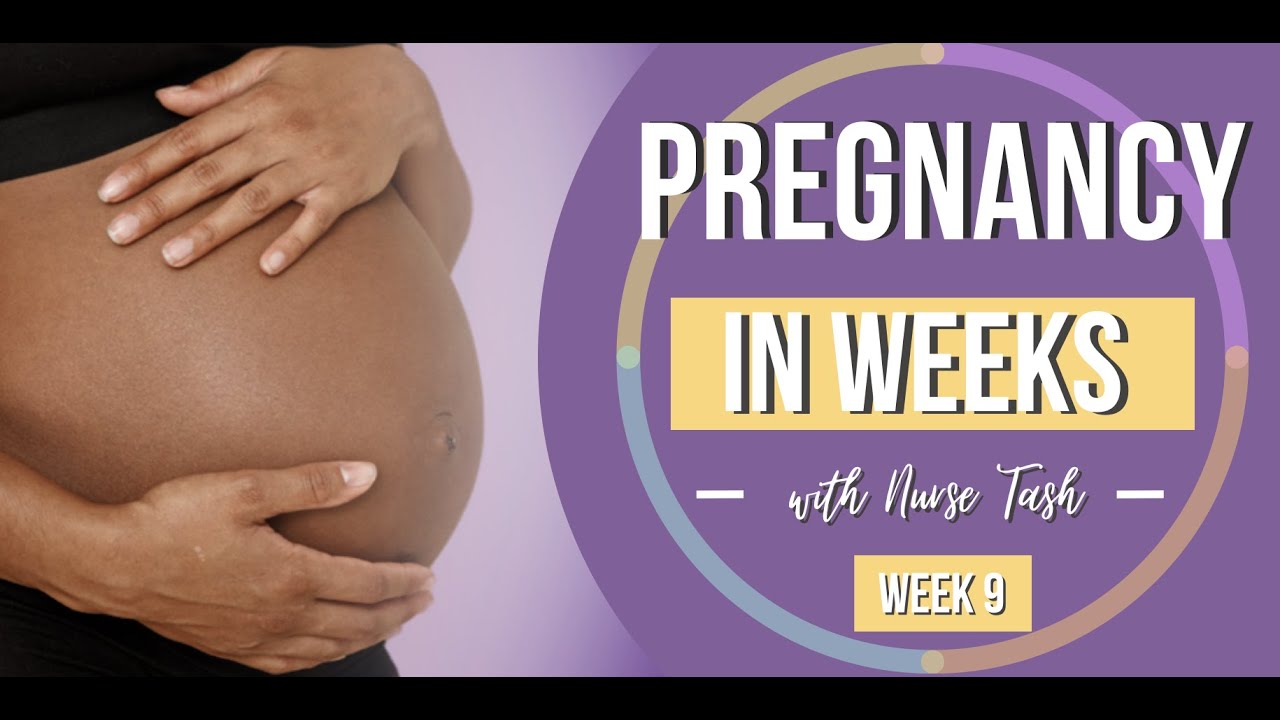 PREGNANCY IN WEEKS 9┃ WEEK-BY-WEEK┃WEEK 9 OF PREGNANCY┃With Nurse Tash ...