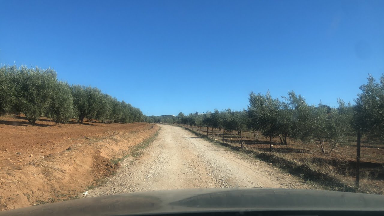 Bir tam tam - YouTube