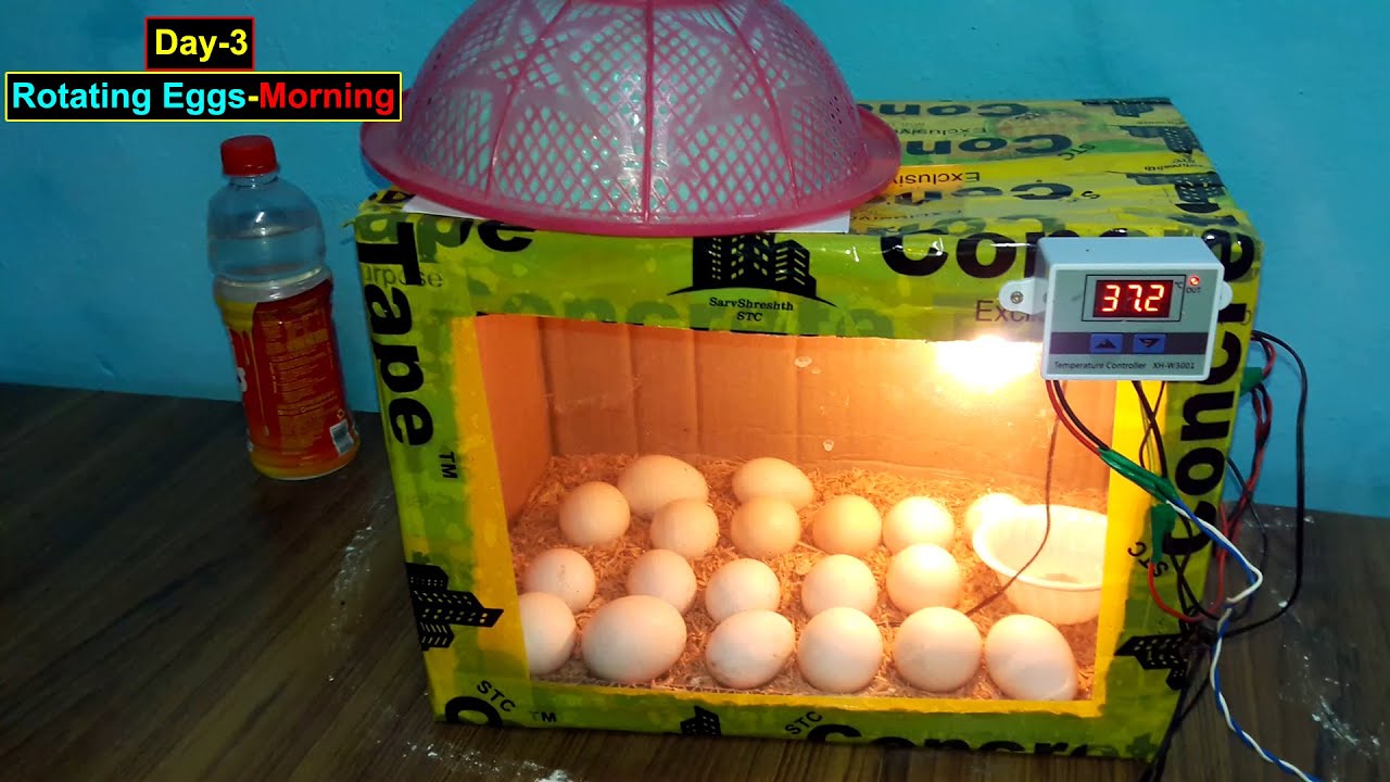 Rotating Eggs Day-3 Morning | Incubator For Chicken Eggs - YouTube