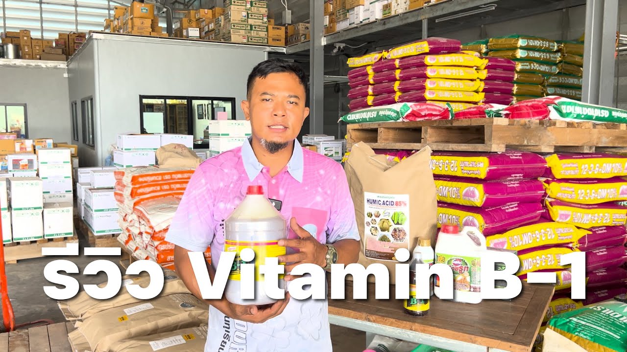 รีวิว Start Vitamin B-1 - YouTube