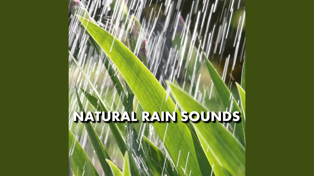 Windy Outside Rain Sounds - YouTube
