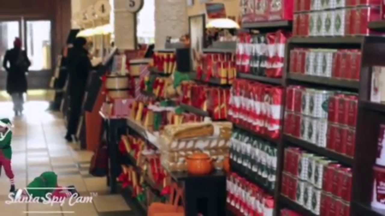 ELVES SNEAKING AROUND BARNES & NOBLE! - YouTube