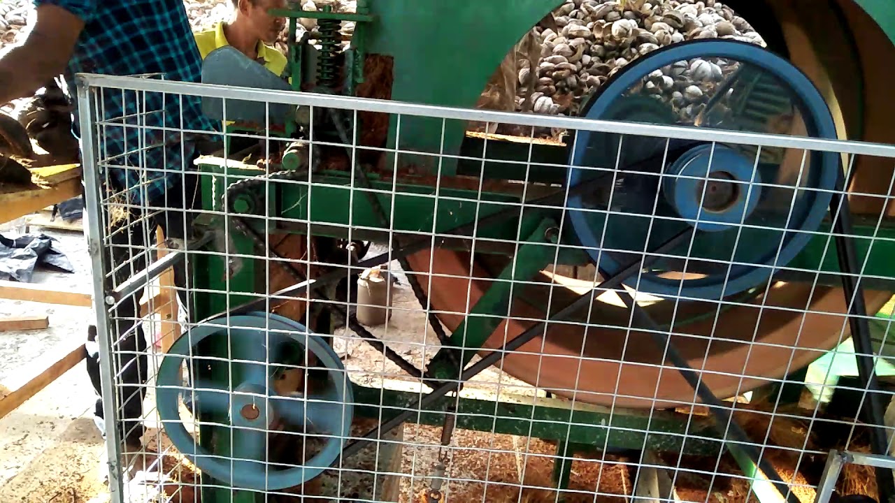 පොල් ලෙලි කටර්..pol leli katar... Hettipola sri lanka.0767229321 - YouTube