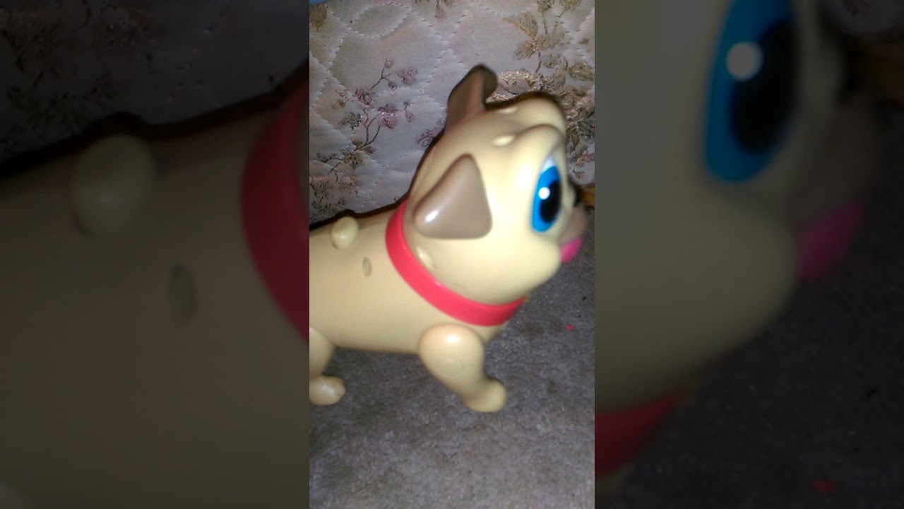 Surprise action Rolly and bingo - YouTube