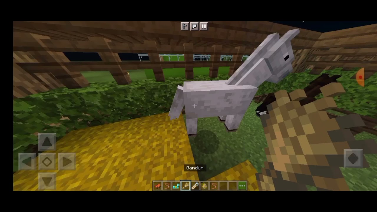 cara naikin kuda di minecraft - YouTube