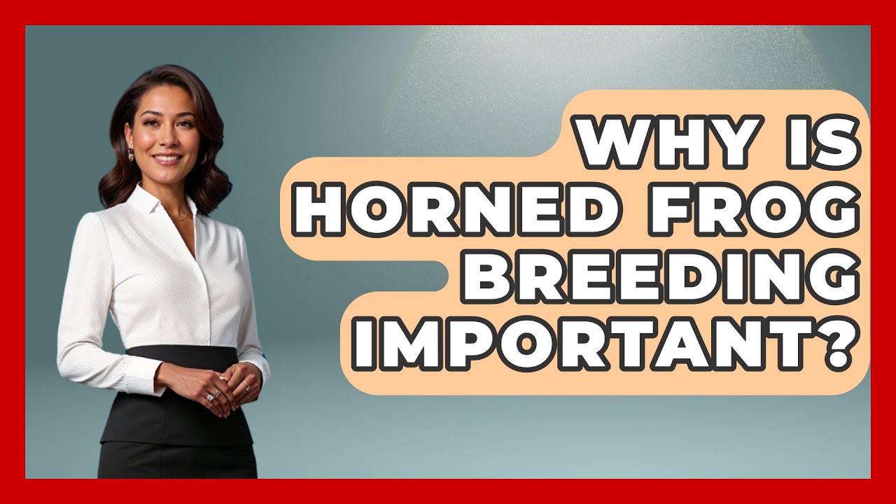 Why Is Horned Frog Breeding Important? - Reptilian Wonders - YouTube