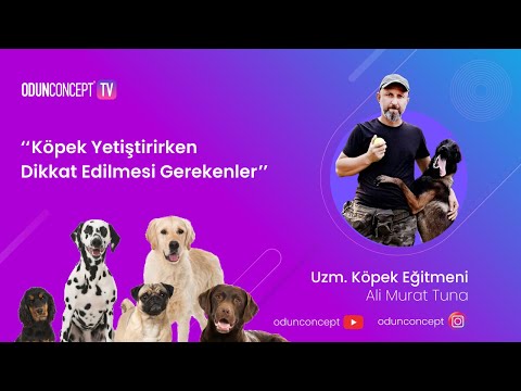 Köpek Eğitimi 2. Bölüm -  Köpek Yetiştirirken Dikkat Edilmesi Gerekenler