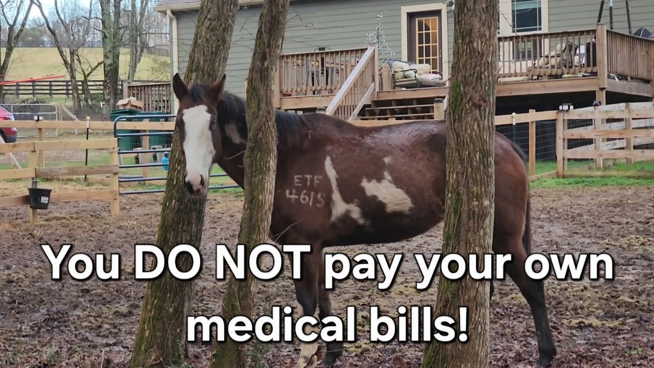 Red Rover Red Rover, send Freya right over... - YouTube